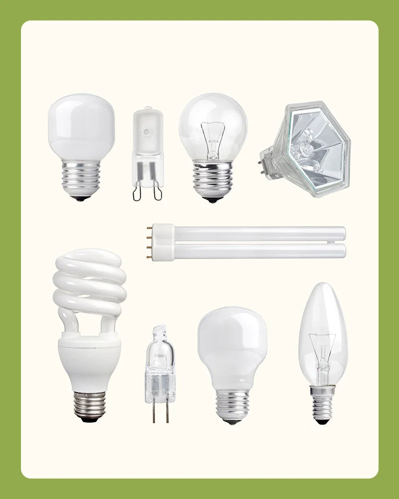 Light Bulb Socket Types Explained: Sizes, Standards, and Compatibility